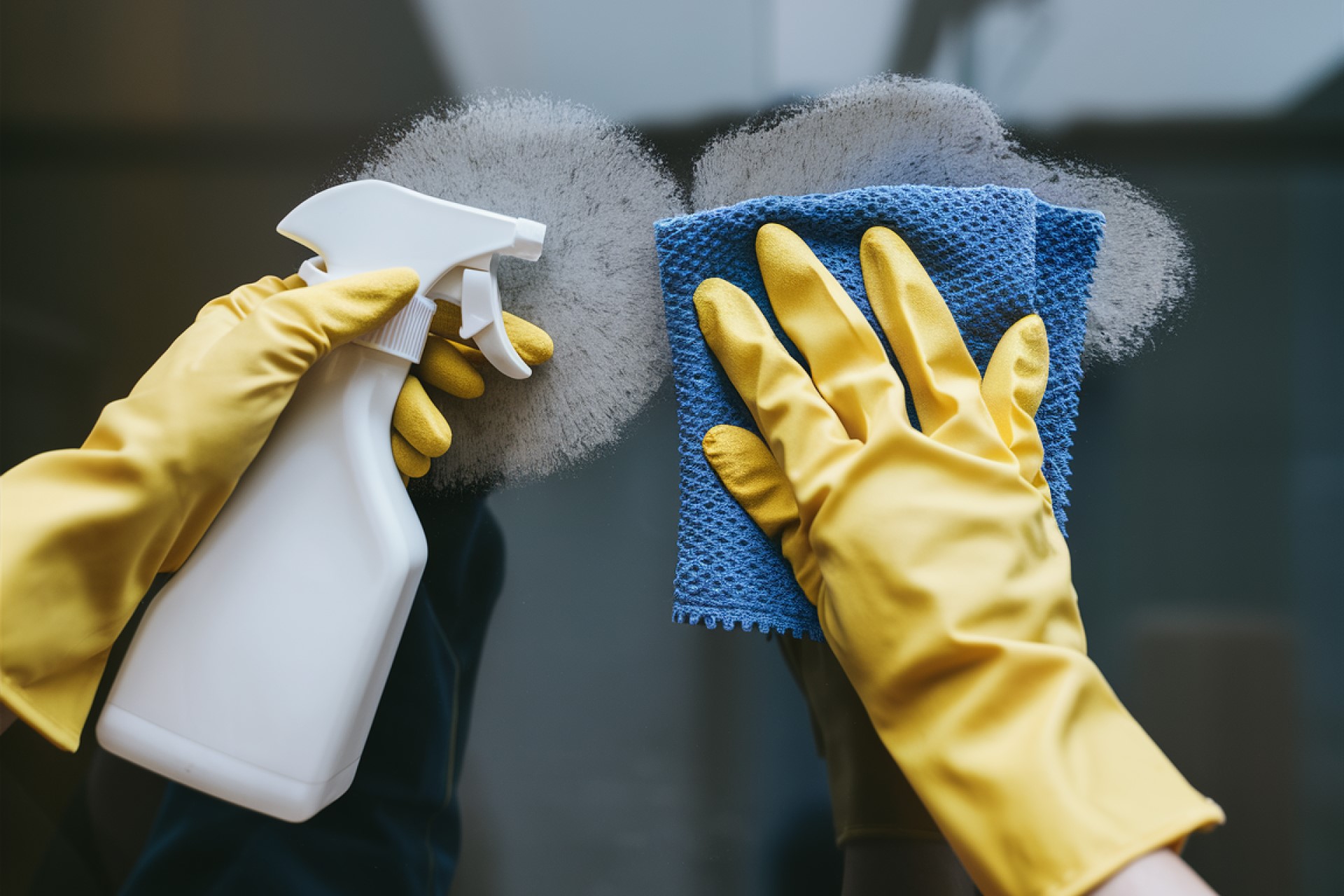 Las 16 Mejores Compañías de Limpieza en PR